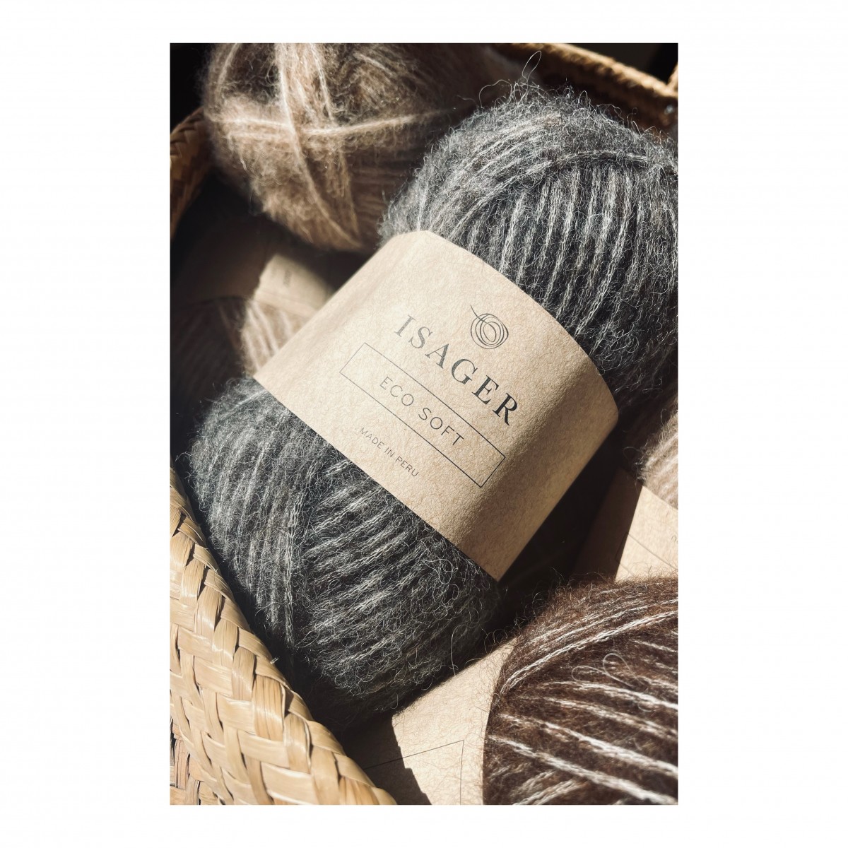 Isager Soft - Isager